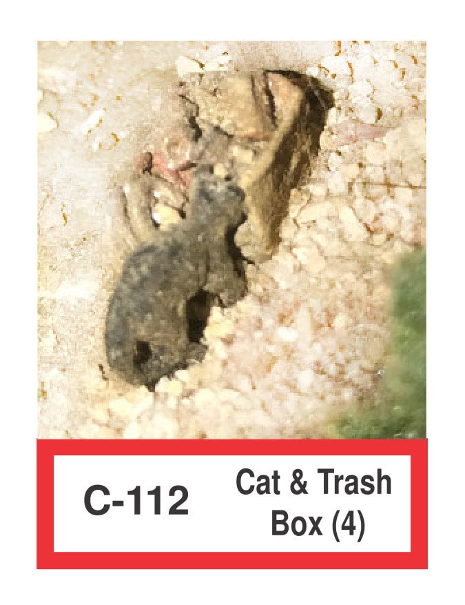 C-112 Cat & Trash Box (4) | RailroadKits & Microlumina